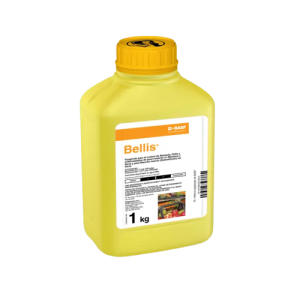 BELLIS - ASM Crop Protection